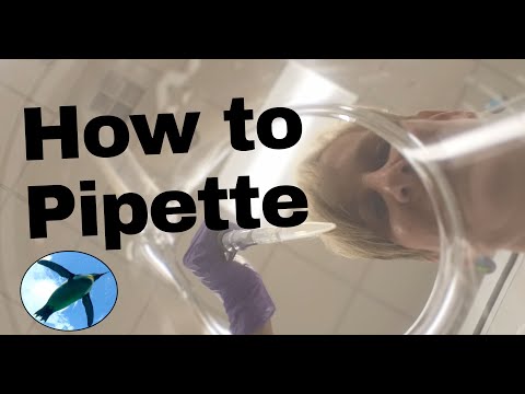 Lab Skills: How to Pipette