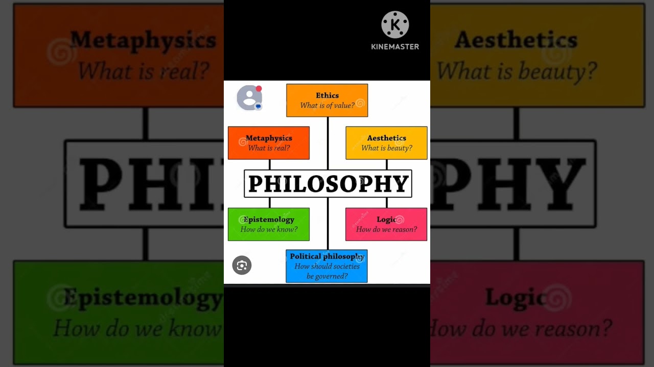 branches of philosophy