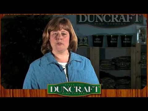 Duncraft Hummingbird Products