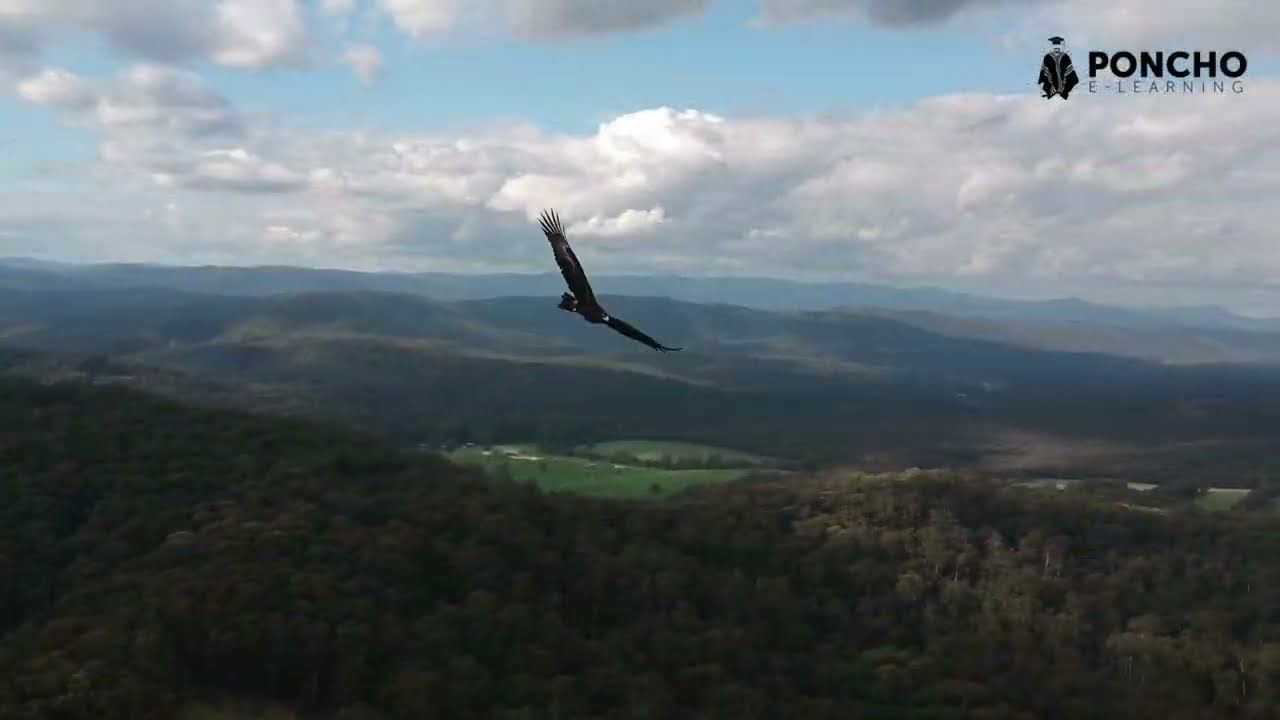 Poncho eLearning - Aerial and Drone Video Samples