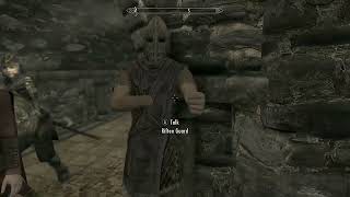 Wholesome Riften Guard Wanna Fist Bump at Skyrim Special Edition Nexus ...