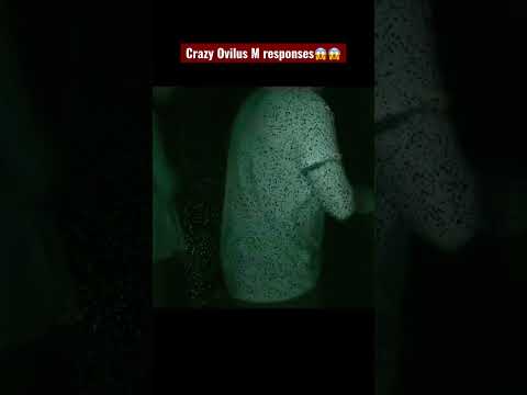 Spirit laughs at me through the Ovilus M! 😱😱 #shorts #paranormal #youtubeshorts #shortsyoutube