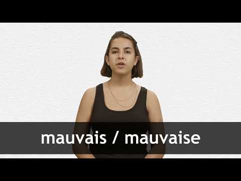 English Translation of “MAUVAIS” | Collins French-English Dictionary