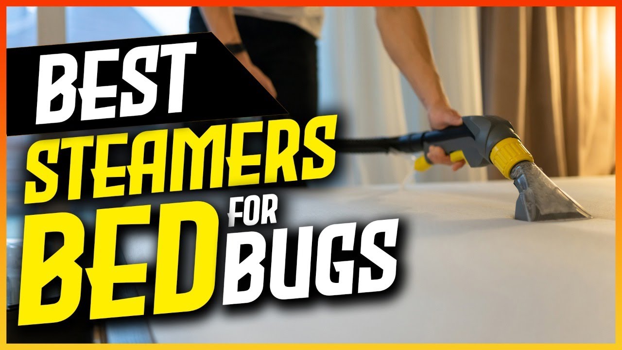 5 Best Steamers for Bed Bugs - 2025 COMPLETE GUIDE