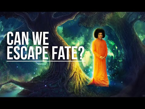 Can We Escape Fate?