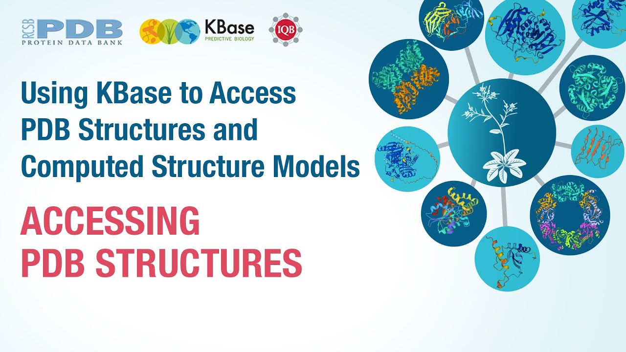 Accessing Experimental Structures from the PDB