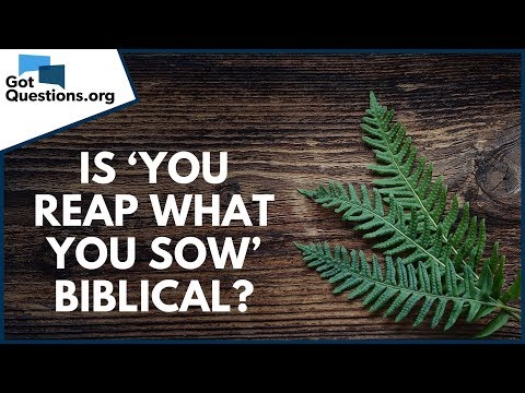 Is ‘you reap what you sow’ biblical? | GotQuestions.org