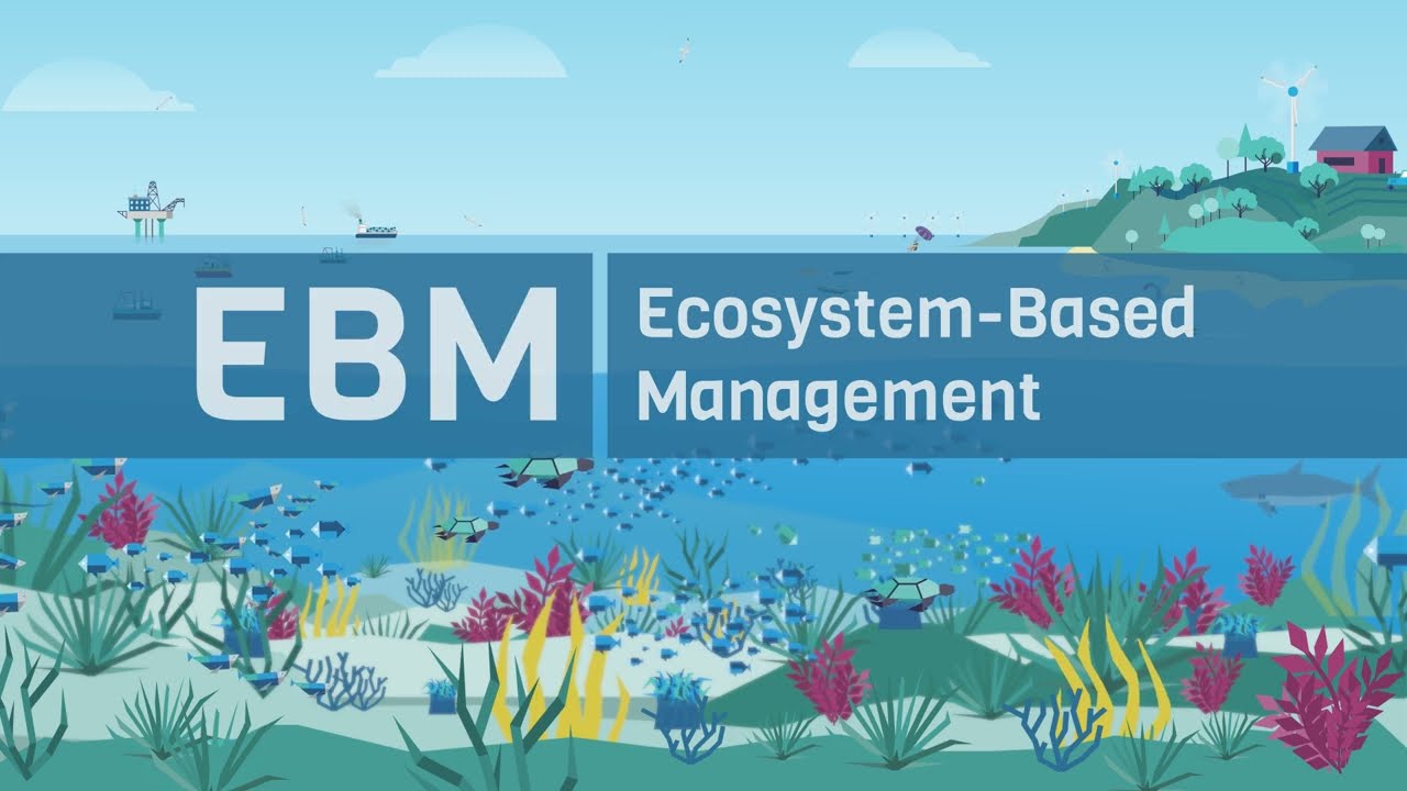 Ecosystem-Based Management: seeing the big picture