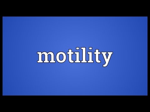 Motility Meaning