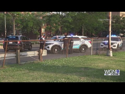 Man killed in hit-&-run crash along Lake Shore Drive in Lakeview