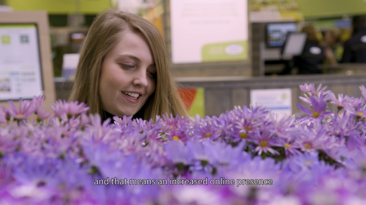 Dimension Data connects the AVEVE Group with the cloud