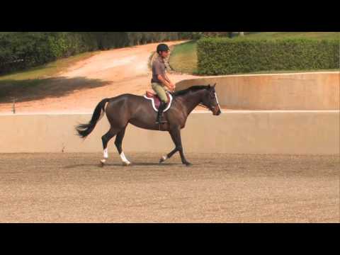 John French: How To Ride A Hunters Under Saddle Class