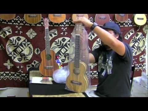 Leolani Ukulele HD: Coco Goes Home:)