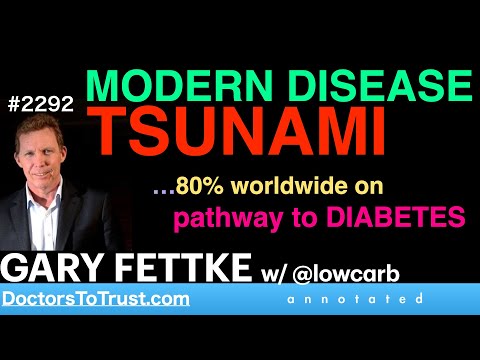 GARY FETTKE m2 | MODERN DISEASE TSUNAME…80% worldwide on pathway to diabetes