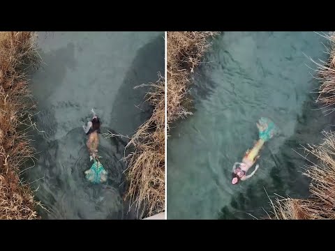 15 Real Mermaid Sightings from History | Beyond Science | Before It's News