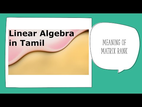 Meaning of Matrix Rank | Linear algebra | Tamil #linearalgebra #rankofamatrix