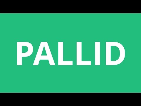 How To Pronounce Pallid - Pronunciation Academy