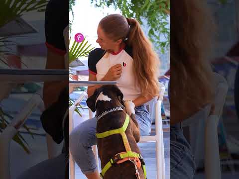 Dog Senses Woman's Struggle and Comes to Her Rescue #shorts