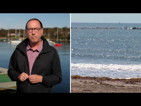 Atlantic Canada saw 'unprecedented' marine heat wave this summer