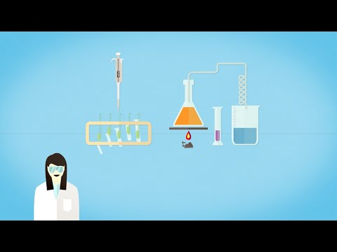 Discover the many careers in health care | Scientist