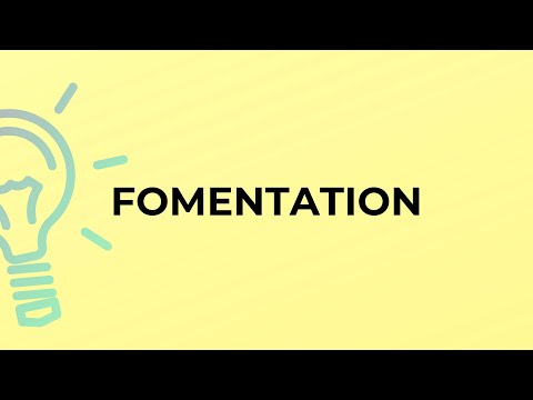 What is the meaning of the word FOMENTATION?