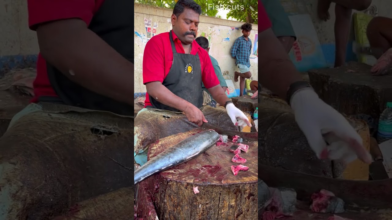 KASIMEDU SPEED SELVAM FISH CUTTING VIDEO | FISH CUTS #kasimeduselvam #shorts #bigfishcutting