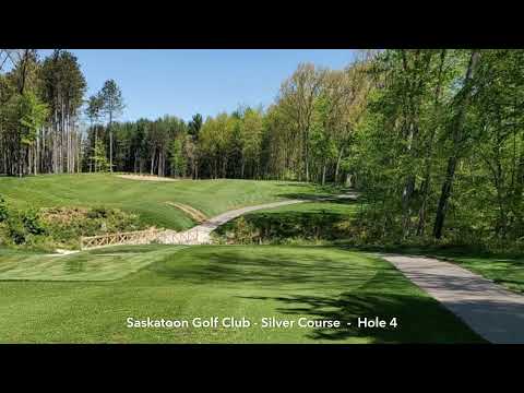 Saskatoon Silver by Michigan Golf Matrix