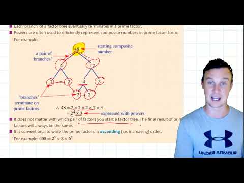 Prime Factors with a Factor Tree