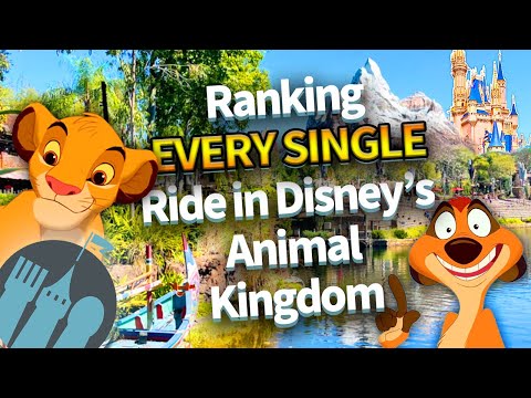 Ranking EVERY SINGLE Ride in Disney’s Animal Kingdom