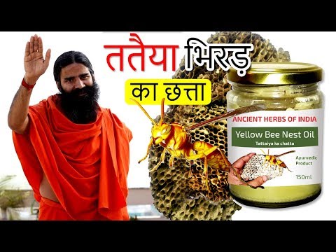 Tataiya-Bhirad Ka Chatta - Yellow Bee Nest Oil tataiya bhirad ka chatta ...