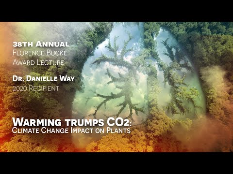 Warming trumps CO2: Climate Change Impact on Plants