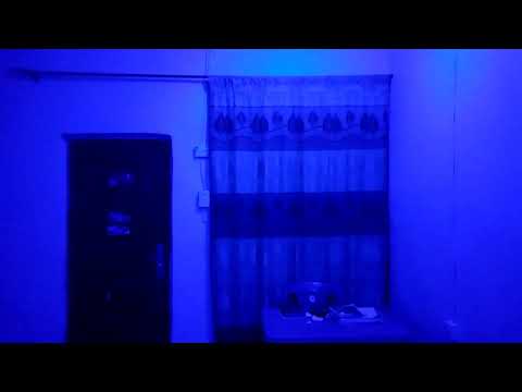 LITTLE BLUE HOUSE