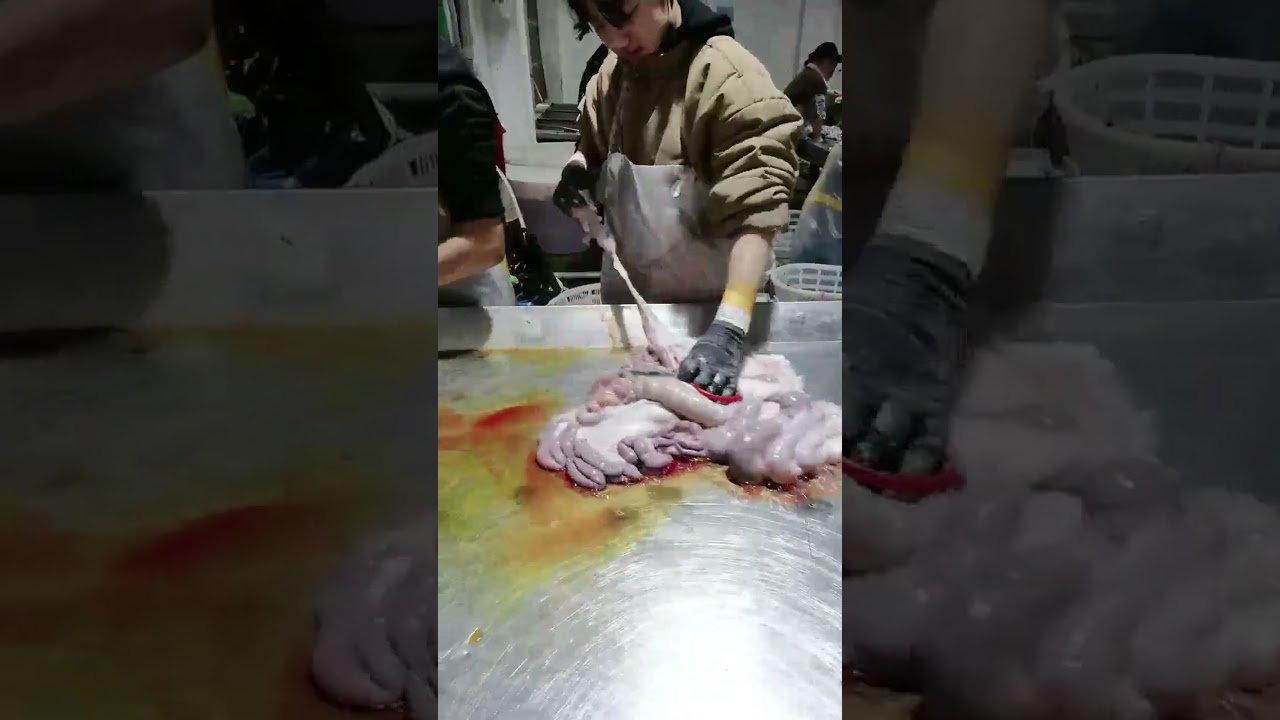 #Pig offal processing#Meat Cutter#Slaughterer #Meat processing plants