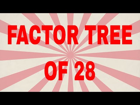 Factor tree of 28|Prime factor tree