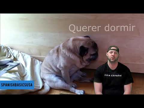 I want to sleep in Spanish + more: Querer Dormir