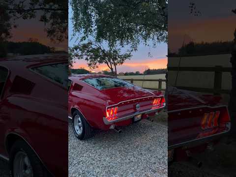 Mustang Fastback Incredible V8 Sound - Muscle Cars For Sale
