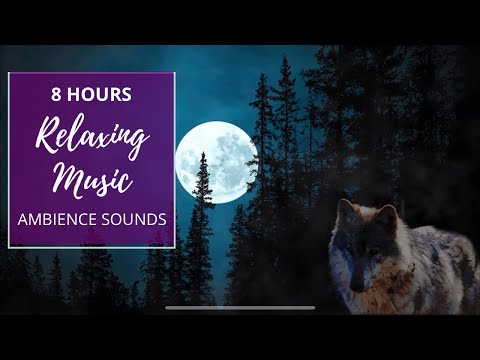 Wolf Howls, Nature At Night. Sleep, Relax, Peaceful [8 HOUR] Ambient Sounds, Music, and Imagery