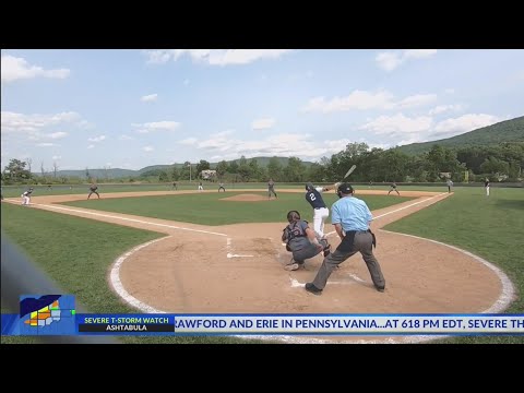 D-10 PIAA Baseball Update