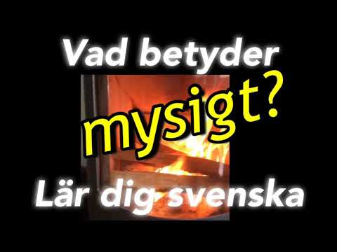 Vad betyder mysigt? - Lär dig svenska - Learn Swedish - 100 undertexter