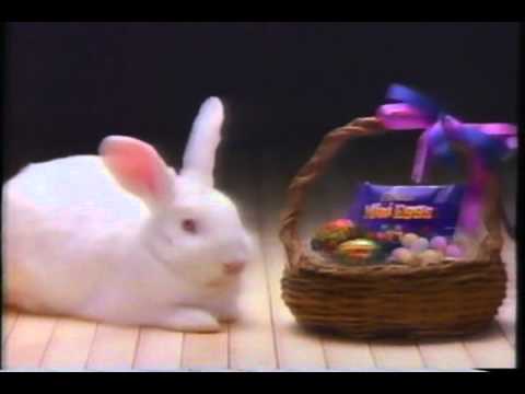 Cadbury Rabbit Try Outs | Advertisements Time Forgot