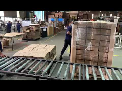 Malaysia Packing helper job Company Working Video