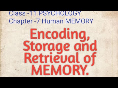 Meaning of the terms 'ENCODING' Storage and RETRIEVAL. Class -11 Psychology Ch.7 Human MEMORY