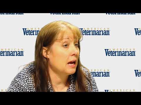 Dealing With Collapse in Dogs