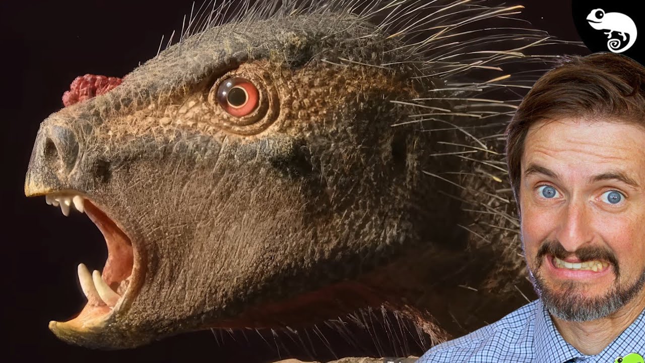 10 Prehistoric Animals I Didn't Know Existed