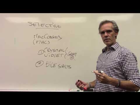 Selective vs Differential Media