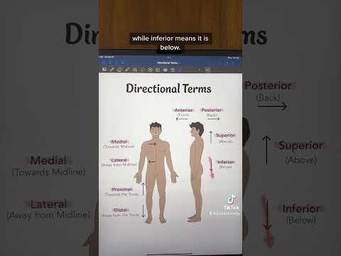 Basic Directional Terminology | TEAS and MCAT Review #shorts #anatomy