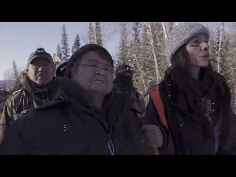 City National Bank + RBC are funding the violation of Indigenous Rights
