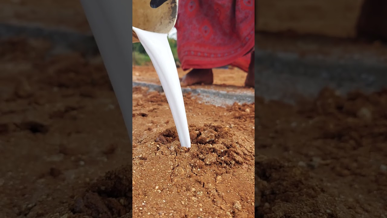 🐜Anti Termite Treatment🤯 #basement #termite #construction