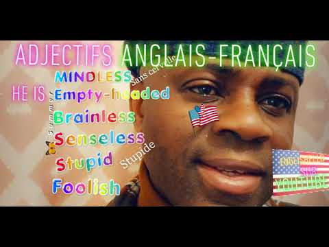 ADJECTIFS Anglais-Français : ● brainless ● mindless ● senseless ● stupid
