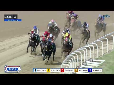 (Seoul) 2024.09.07 R3 Class Open (1400M) Special Weight B / Selangor Turf Club Trophy